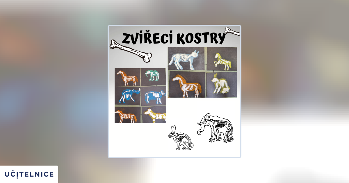 Zvířecí kostry/Příprava na hodinu výtvarné výchovy | Učitelnice