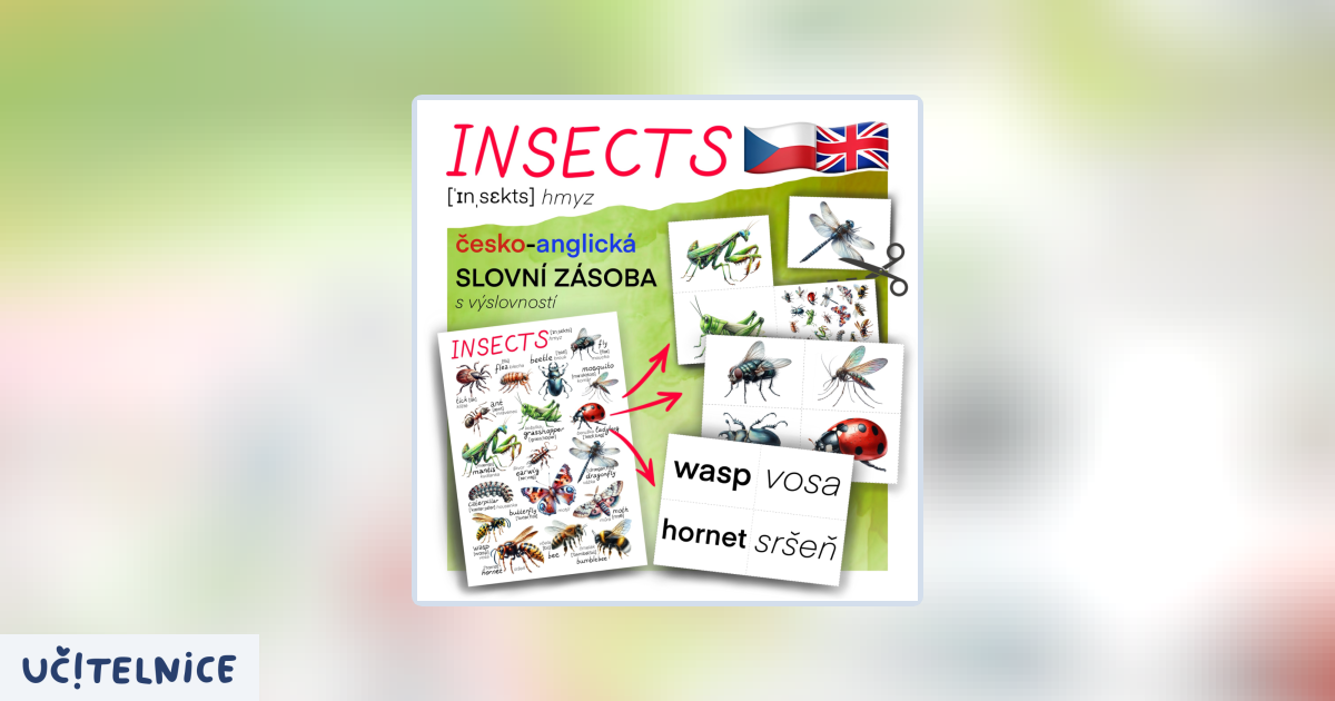 INSECTS - slovní zásoba na téma hmyz | Učitelnice