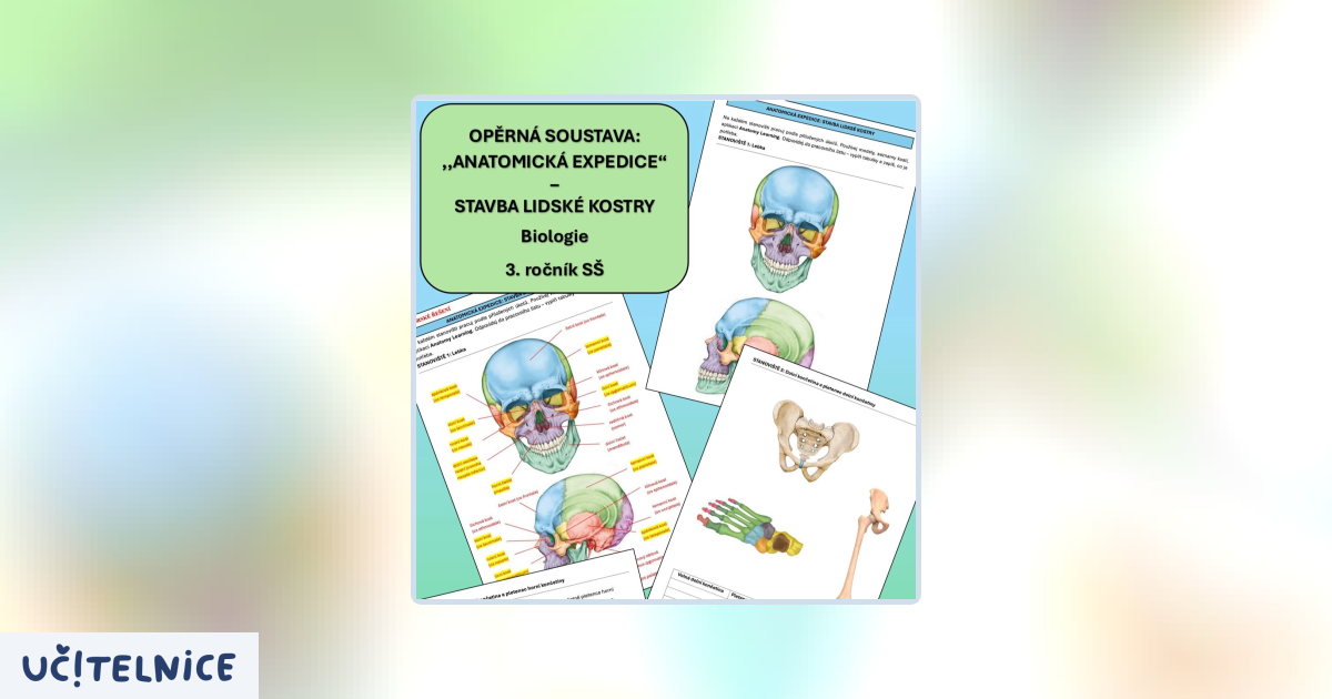 Opěrná soustava ,,Anatomická expedice" - stavba lidské kostry | Učitelnice