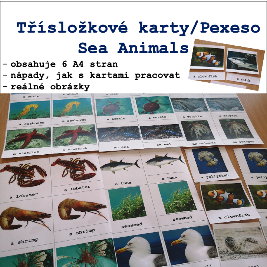 Třísložkové karty/Pexeso Sea Animals | Učitelnice