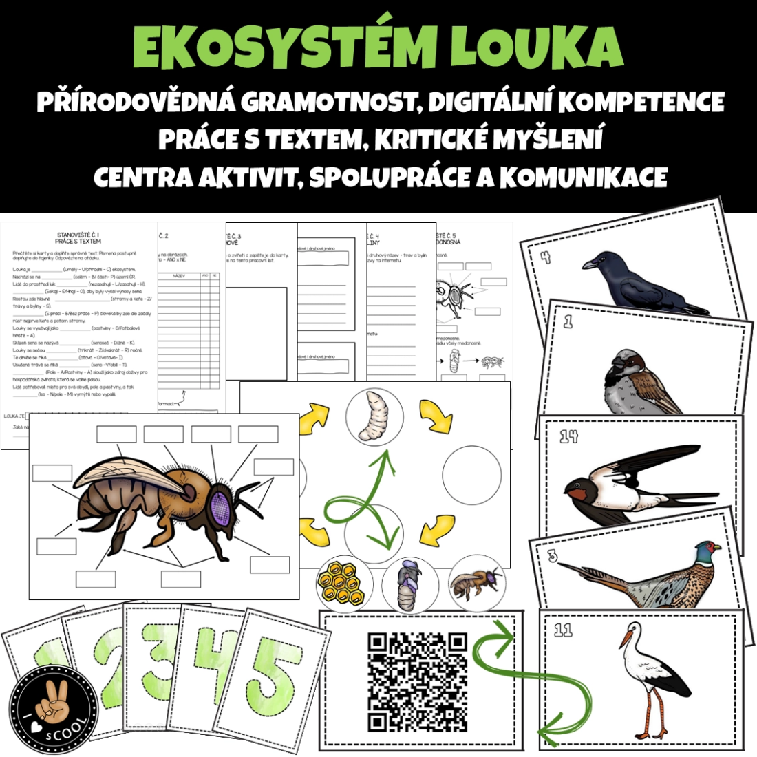 Ekosystém louka | Učitelnice