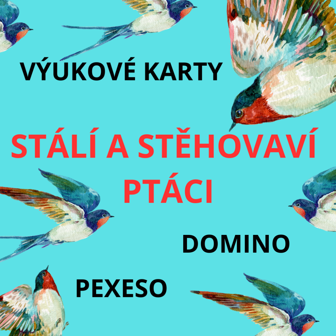 Stálí a stěhovaví ptáci | Učitelnice