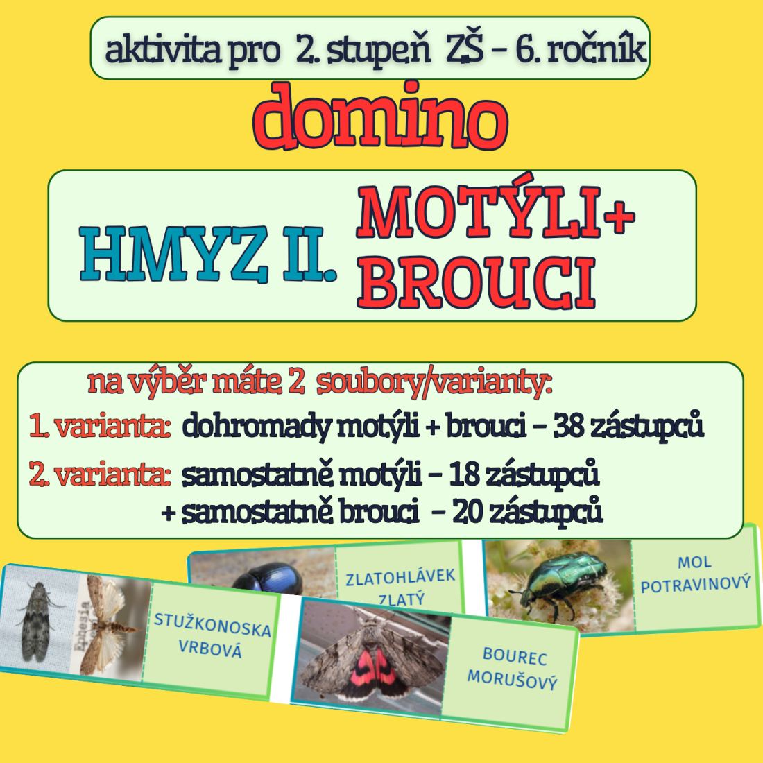 Domino - HMYZ II. MOTÝLI A BROUCI | Učitelnice