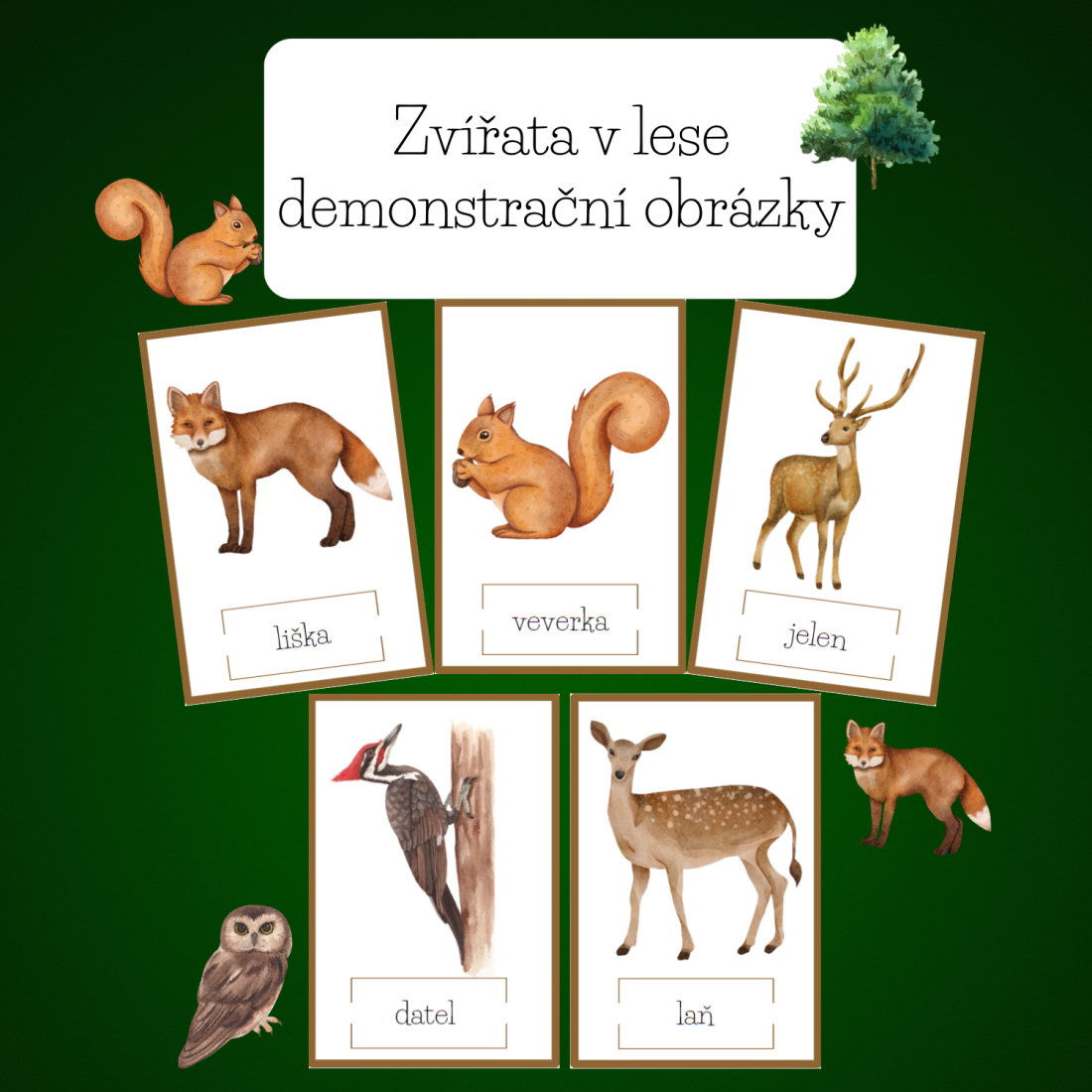 Zvířata v lese demonstrační obrázky | Učitelnice