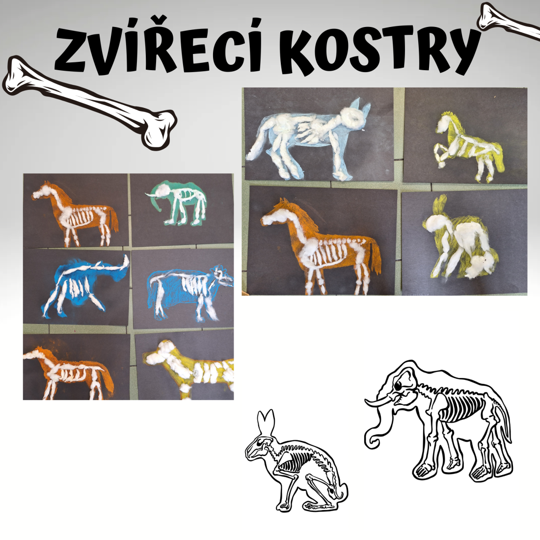 Zvířecí kostry/Příprava na hodinu výtvarné výchovy | Učitelnice