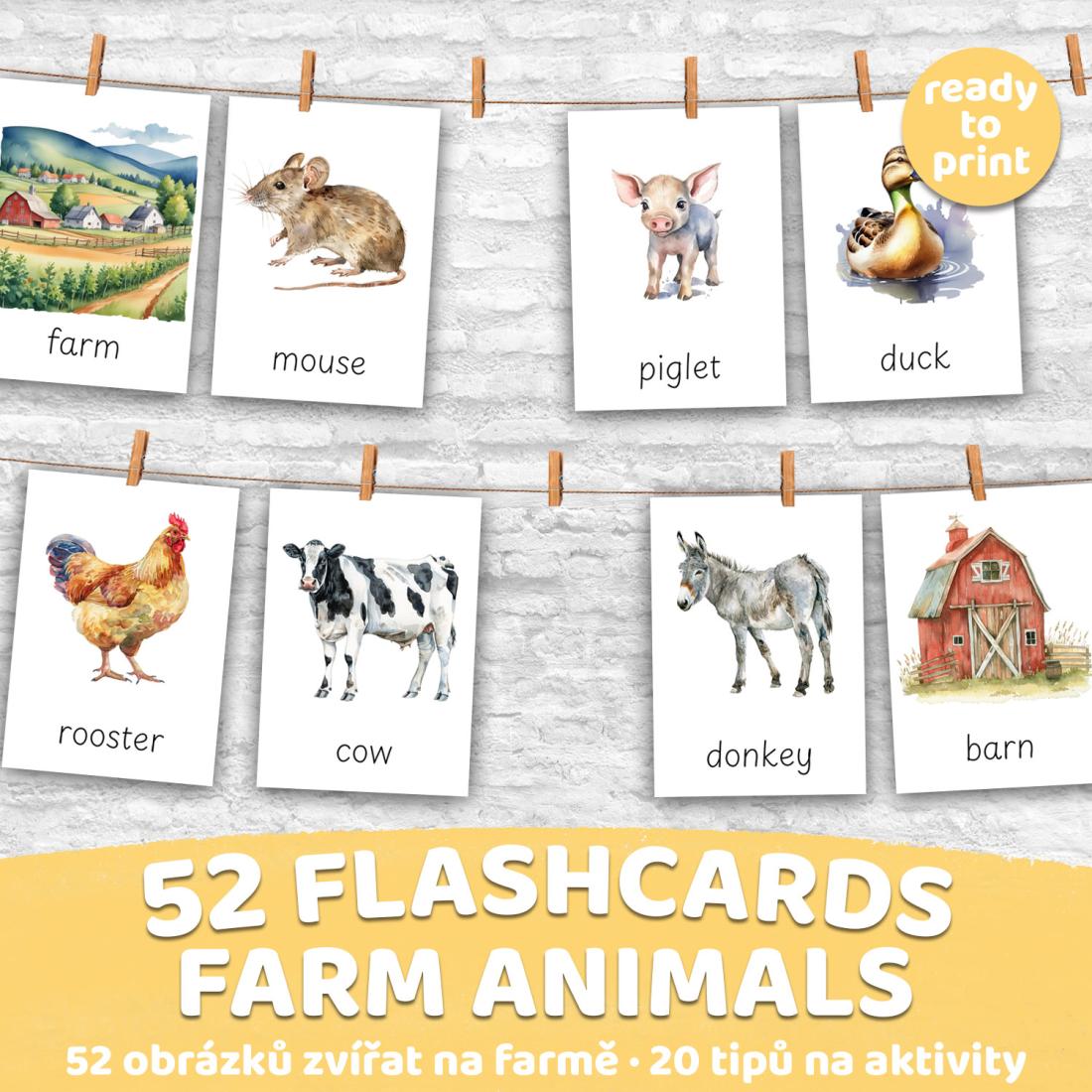 FLASHCARDS FARM ANIMALS | Karty a 20 aktivit do výuky | Učitelnice