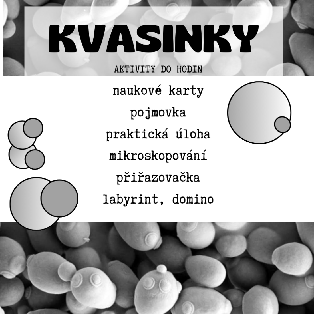 KVASINKY - sborník aktivit (přírodopis, 6. ročník, 6. třída), houby ...