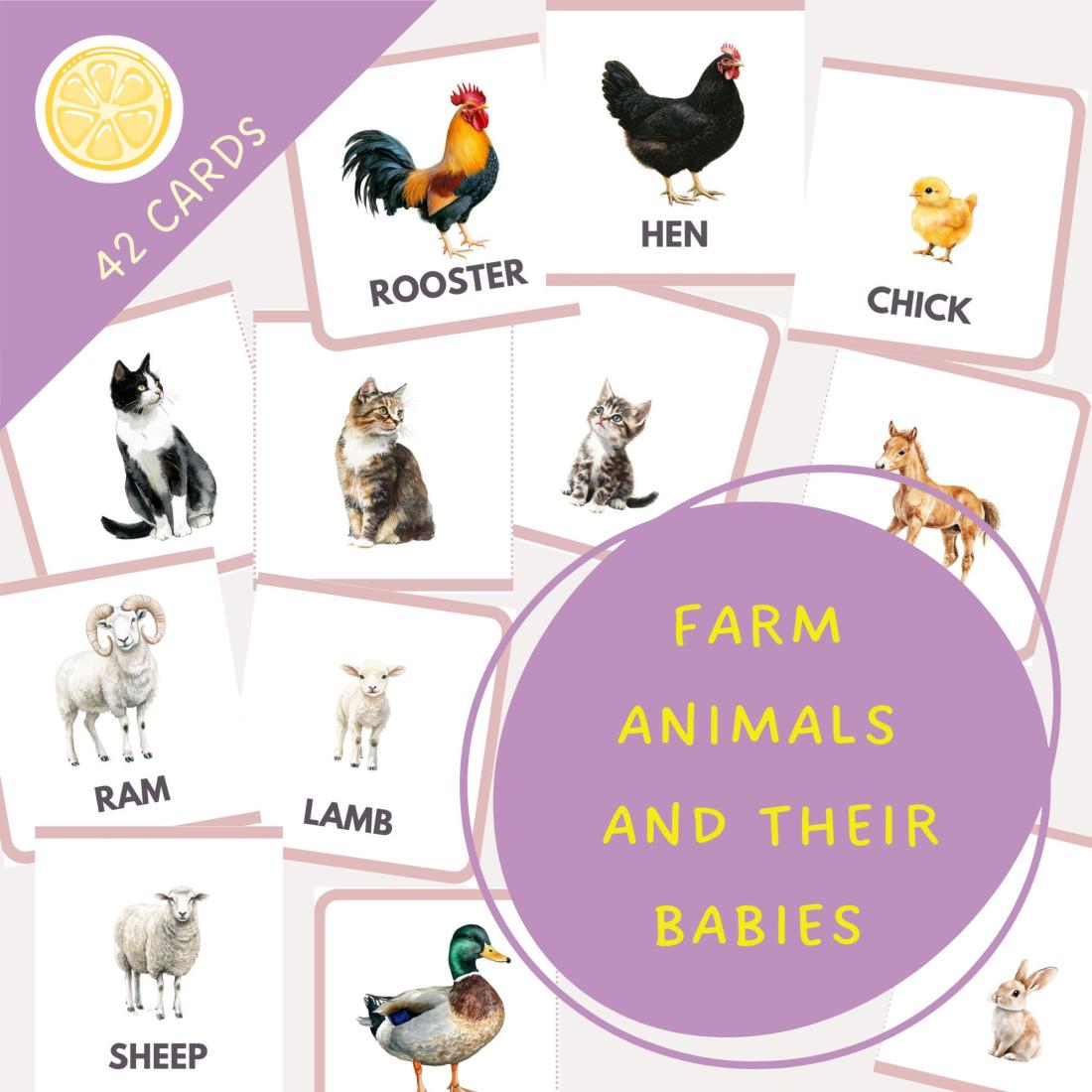 FARM ANIMALS AND THEIR BABIES - FLASHCARDS | obrázkové kartičky v ...