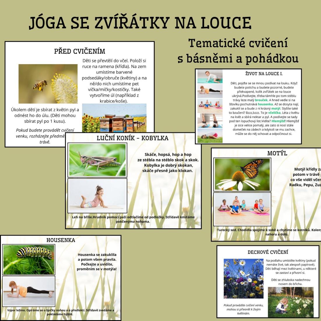 Jóga se zvířátky na louce | Učitelnice