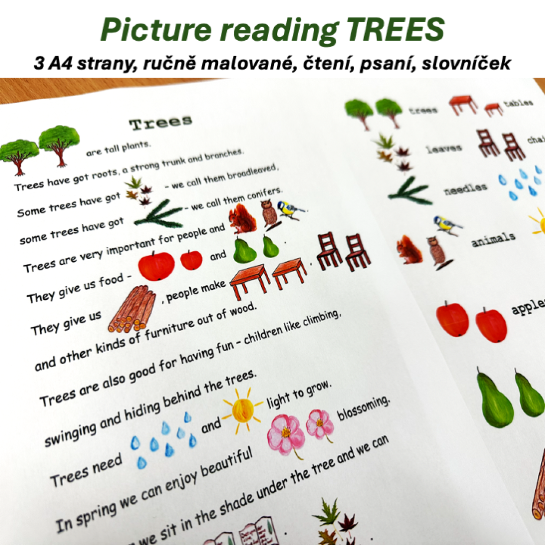 Picture reading - TREES | Učitelnice