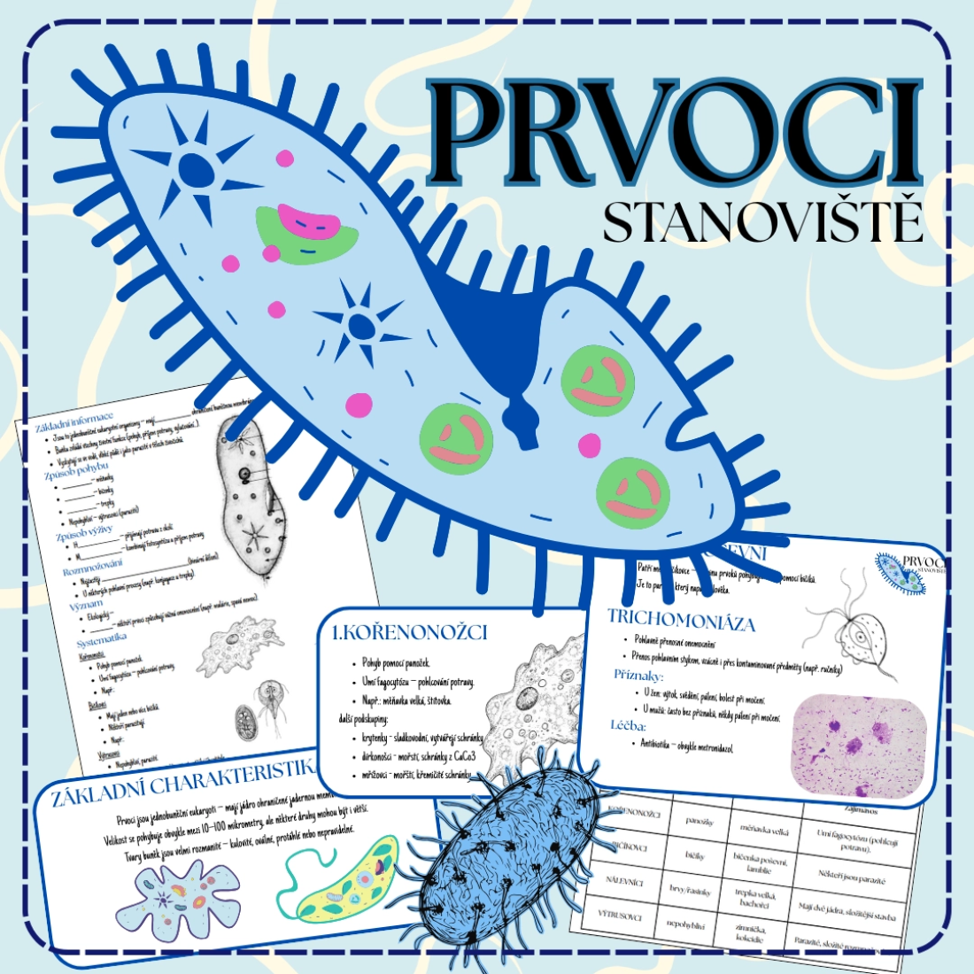 PRVOCI - stanoviště (6. ročník ZŠ, přírodopis) | Učitelnice