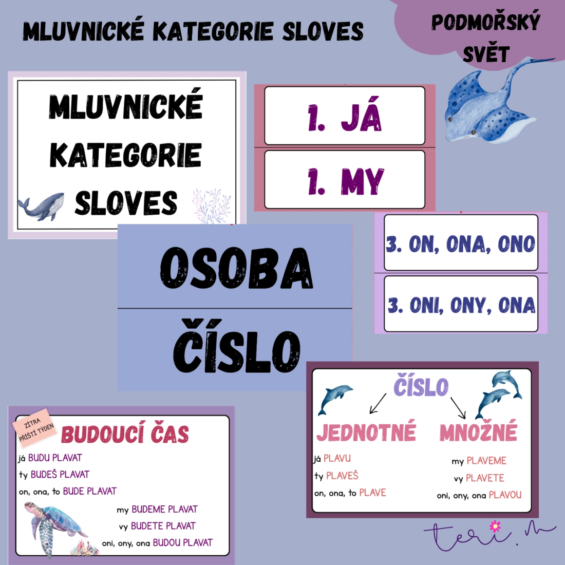MLUVNICKÉ KATEGORIE SLOVES - téma PODMOŘSKÝ SVĚT | Učitelnice