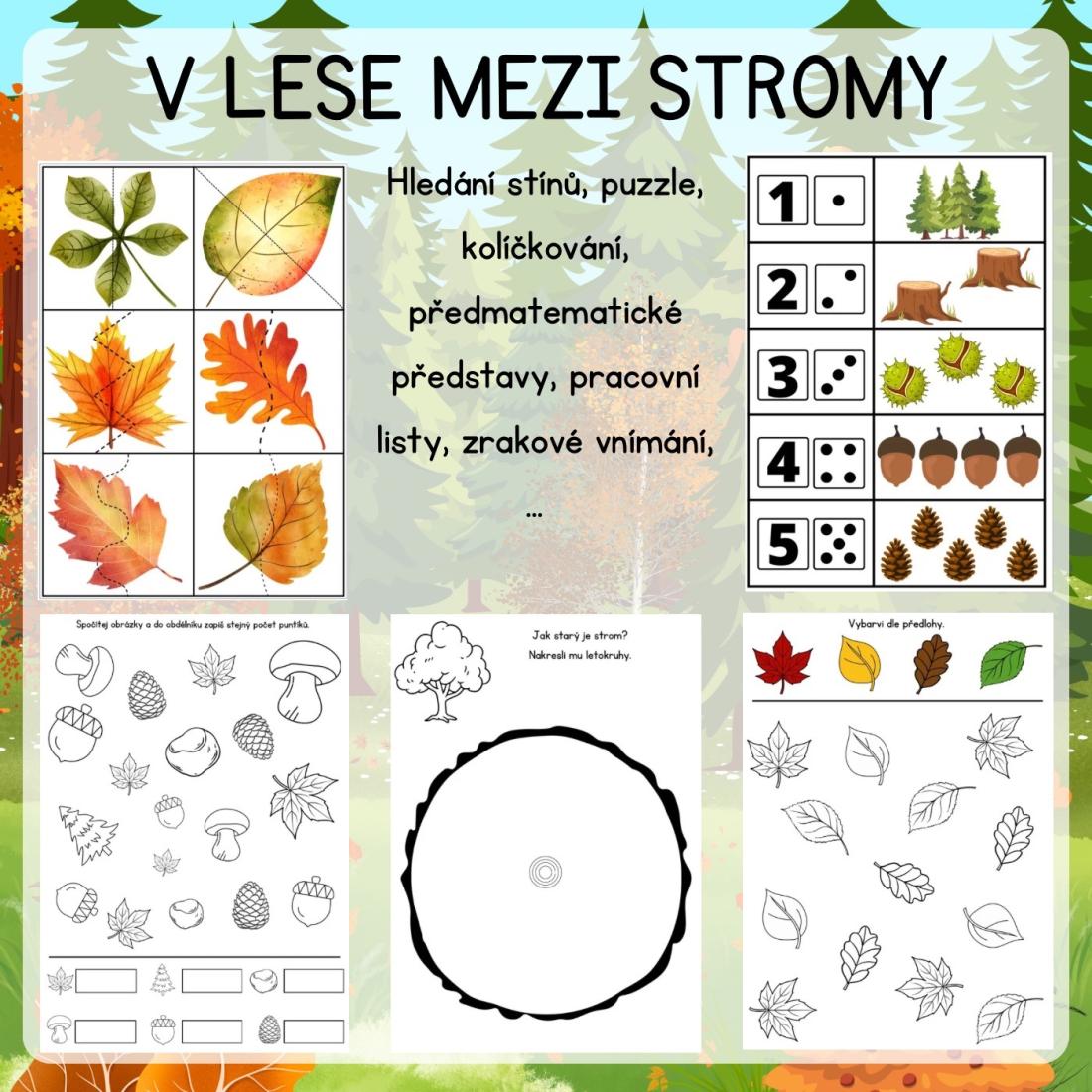 V lese mezi stromy | Učitelnice