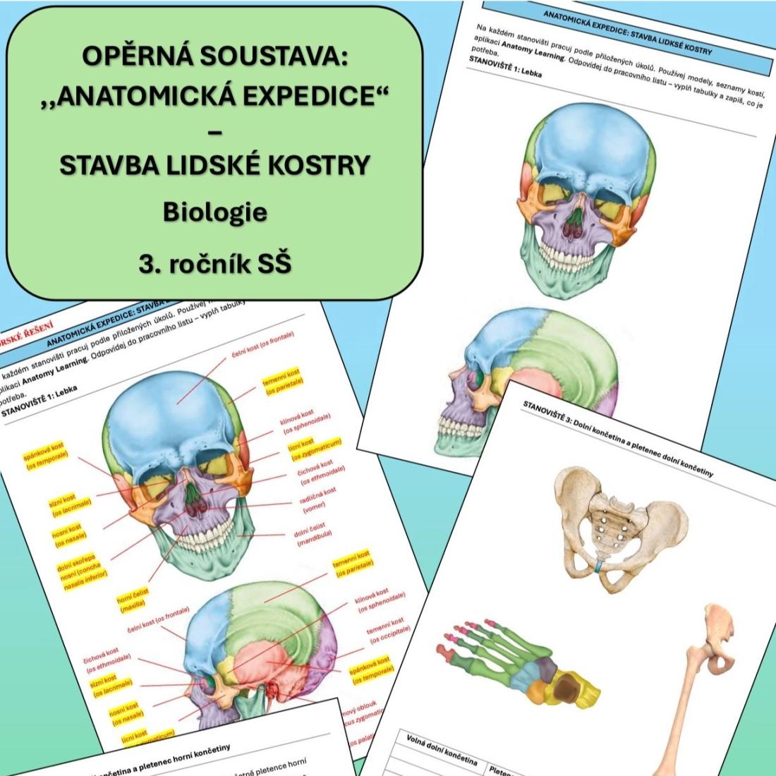 Opěrná soustava ,,Anatomická expedice" - stavba lidské kostry | Učitelnice