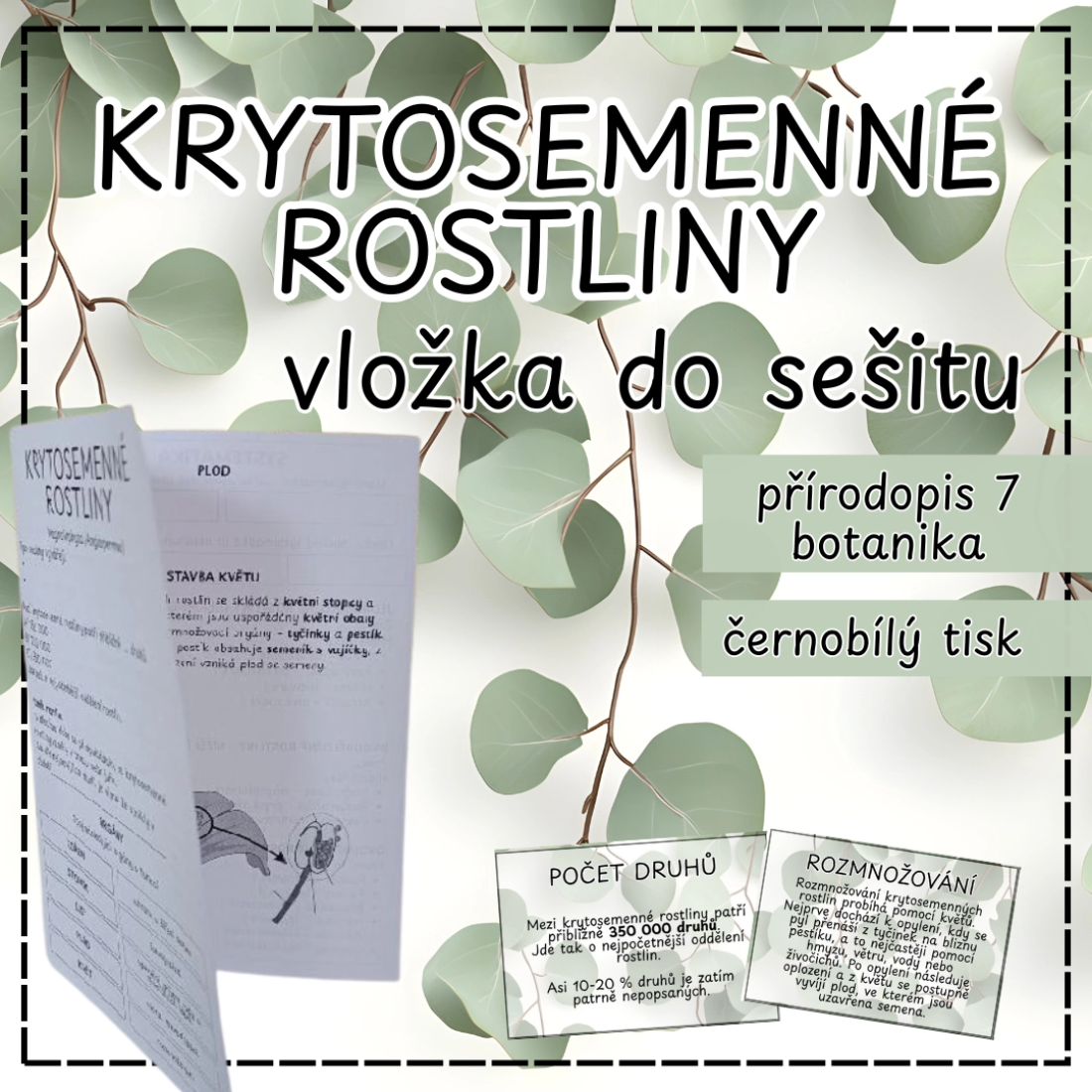 KRYTOSEMENNÉ ROSTLINY - vložka do sešitu (botanika, rostliny ...