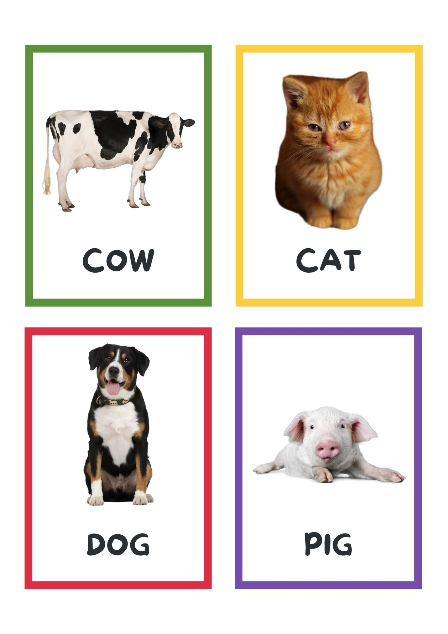 Animals on the farm- Flashcards | Učitelnice