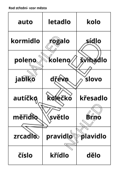 Plácačky - vzory podstatných jmen | Učitelnice